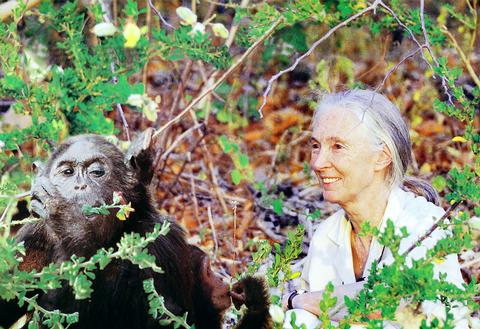 The woman every politician loves to meet - Taipei Times