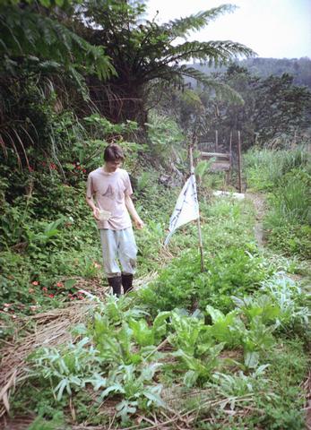 Relearning the language of nature - Taipei Times