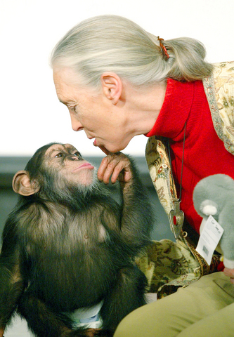 Jane Goodall walks on the wild and dark side - Taipei Times