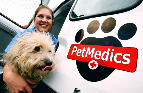 FEATURE: Sydney pet ambulance fills a growing need for emergency care ...