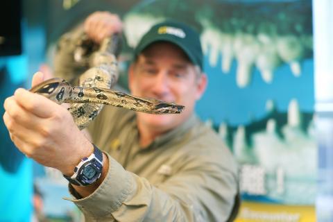 Man against beast - Taipei Times