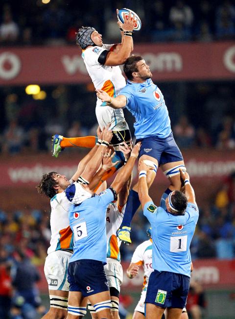 Bulls celebrate their birthday with win in Cheetahs thriller - Taipei Times