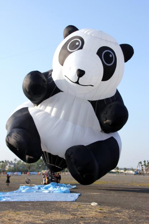 Experts denounce panda popularity, urging better Formosan black bear ...