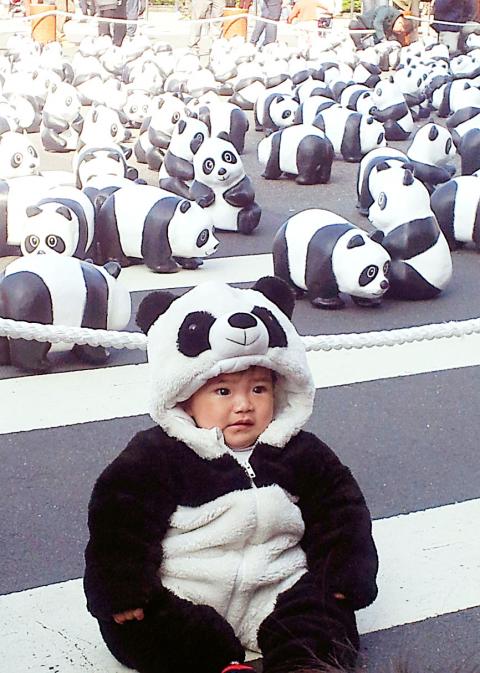 Crowds flock to see ‘1,600 pandas’ - Taipei Times