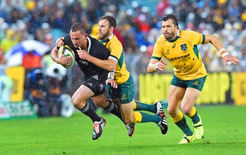 Wallabies hold All Blacks to a draw - Taipei Times
