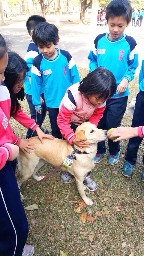 Stray Labrador finds new place in field of education - Taipei Times