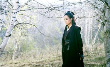 The Assassin | MCLC Resource Center