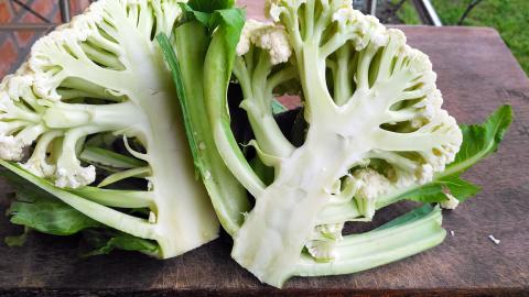 Nutritional powerhouse - Taipei Times