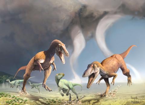 Scientists discover new stubby-armed dinosaur - Taipei Times