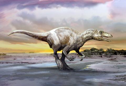 Fossils discovered in Argentina shed light on vicious group of ...