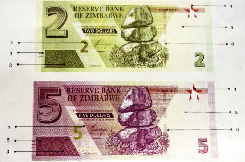 Zimbabwe issues ‘surrogate’ US dollars - Taipei Times