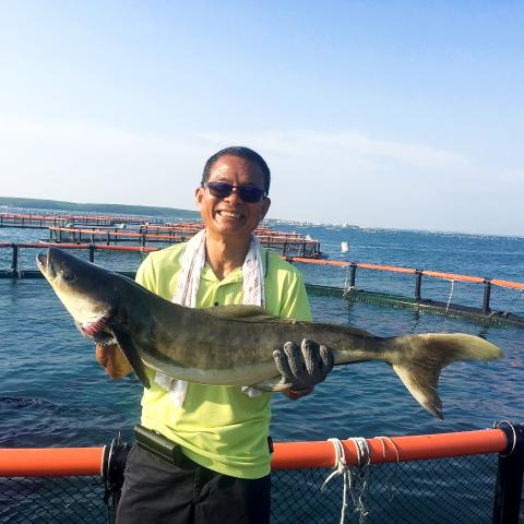 FEATURE: Tan Hou weathers storms to raise ‘clean’ farmed fish - Taipei ...
