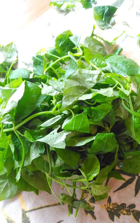 Ian’s Table: Forgotten greens - Taipei Times