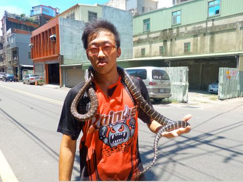 Snake lover creates stir with nighttime python rambles - Taipei Times