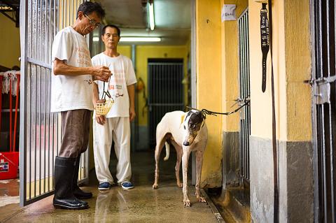 Plan for Macau greyhounds hits snag - Taipei Times