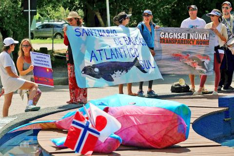 Japan proposes ending commercial whaling ban - Taipei Times