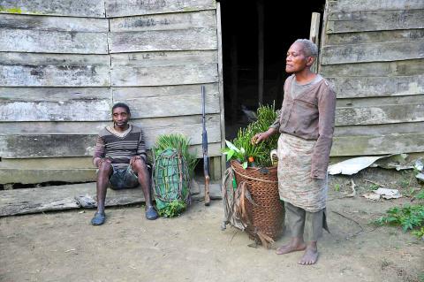 Pygmies, masters of the forest, tackle lifestyle changes - Taipei Times