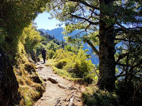 Down and out on Jade Mountain - Taipei Times