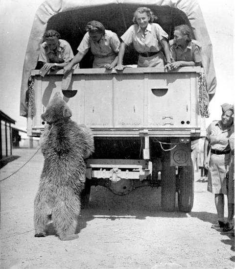 FEATURE: Animated film to feature wartime bear Corporal Wojtek - Taipei ...