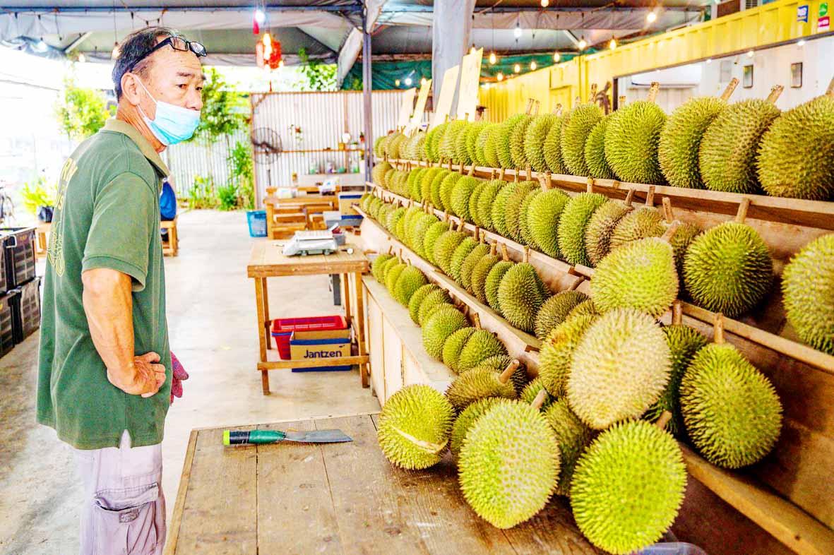 Fruit energy, web lenses inspire 2020 science - Taipei Times