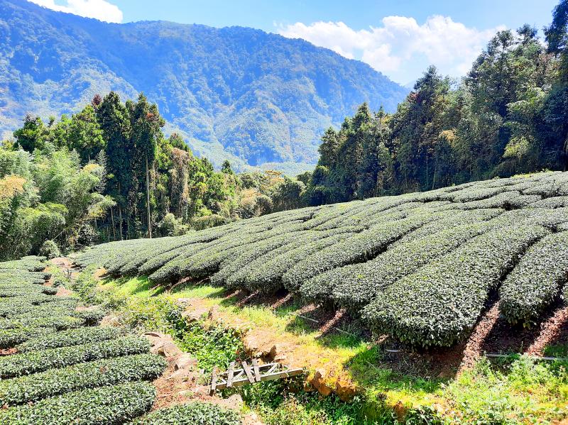 Highways & Byways: The Shangri-la that is Dinghu - Taipei Times