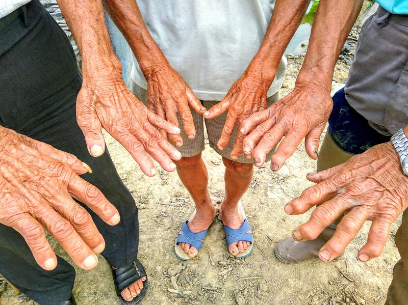 Movie review: Eagle Hand - Taipei Times