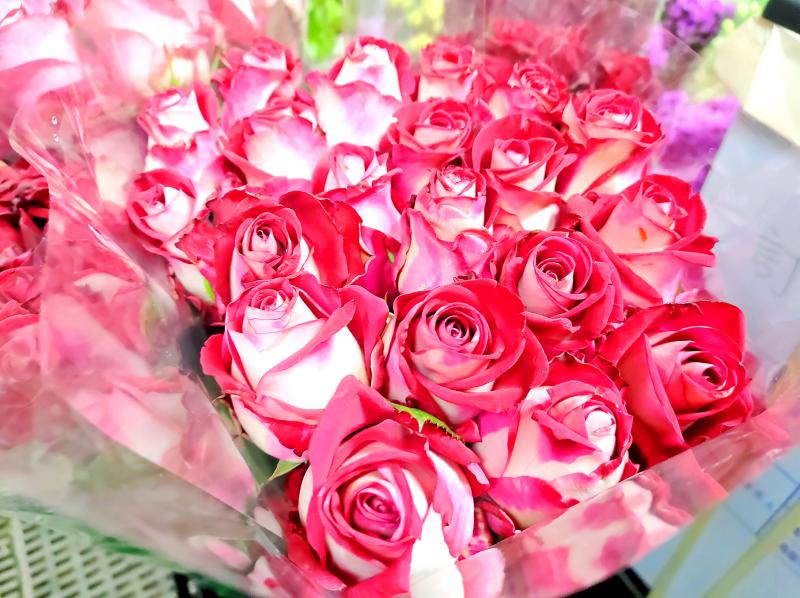 Lovers pay big as cost of roses soars - Taipei Times