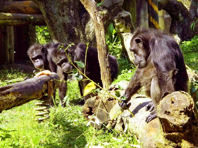 Teamwork - Taipei Times