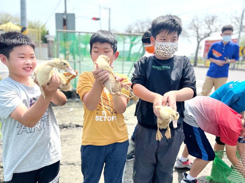 Pest control - Taipei Times