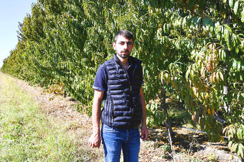 Smart farming tech offers sprout of hope in Greece - Taipei Times