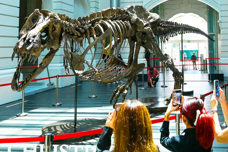 Christie’s cancels Hong Kong auction of controversial skeleton of T-rex ...