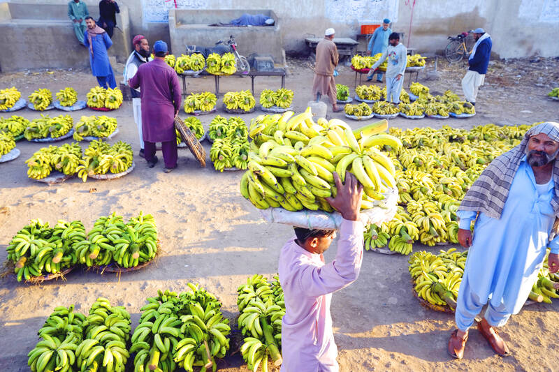 Hoping to make a bunch - Taipei Times