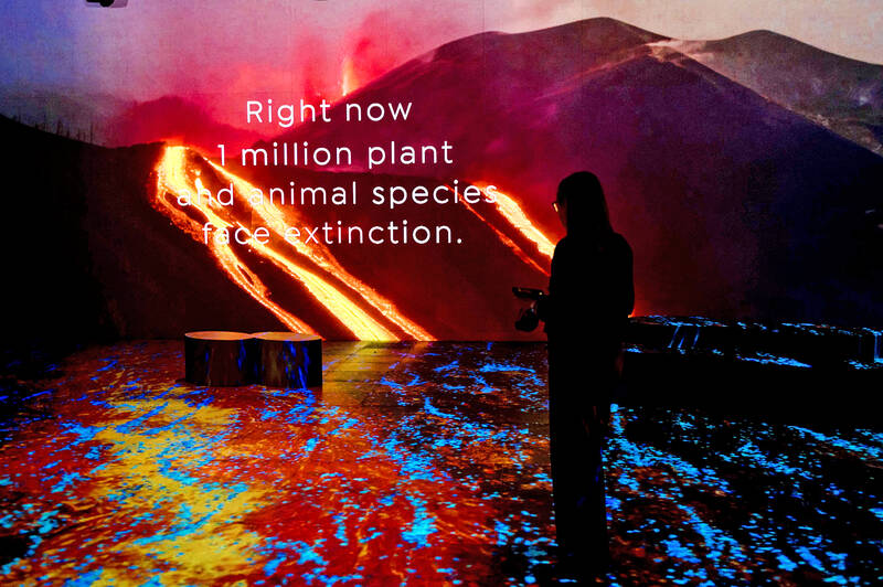 Why are biodiversity goals failing? - Taipei Times