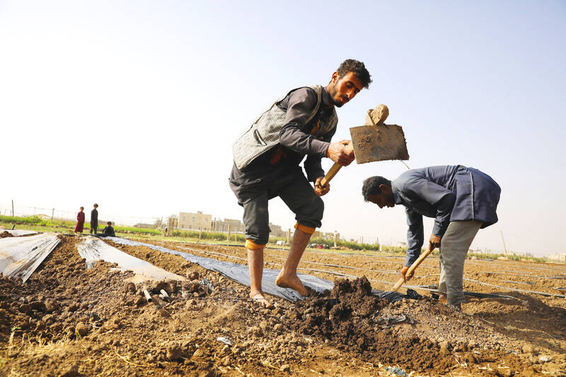 Soil toil - Taipei Times