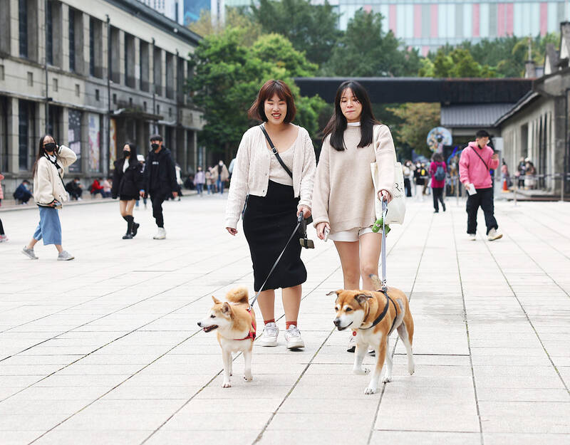 Good day for a stroll - Taipei Times