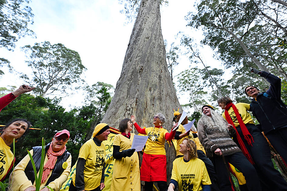 Save the trees - Taipei Times