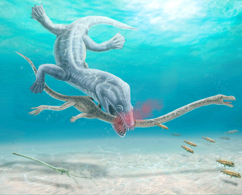 Fossils show ancient long-necked sea beast’s ‘gruesome’ decapitation ...