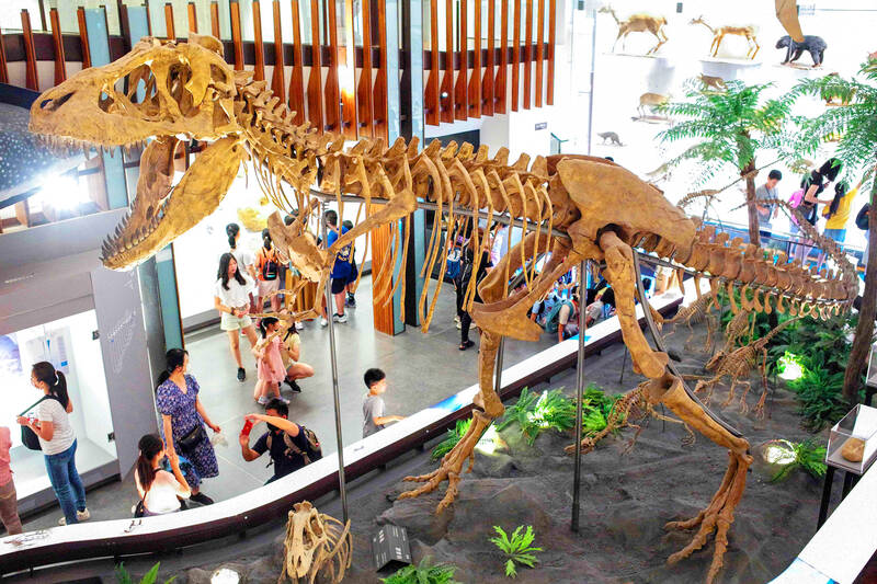 Fascinating fossils - Taipei Times