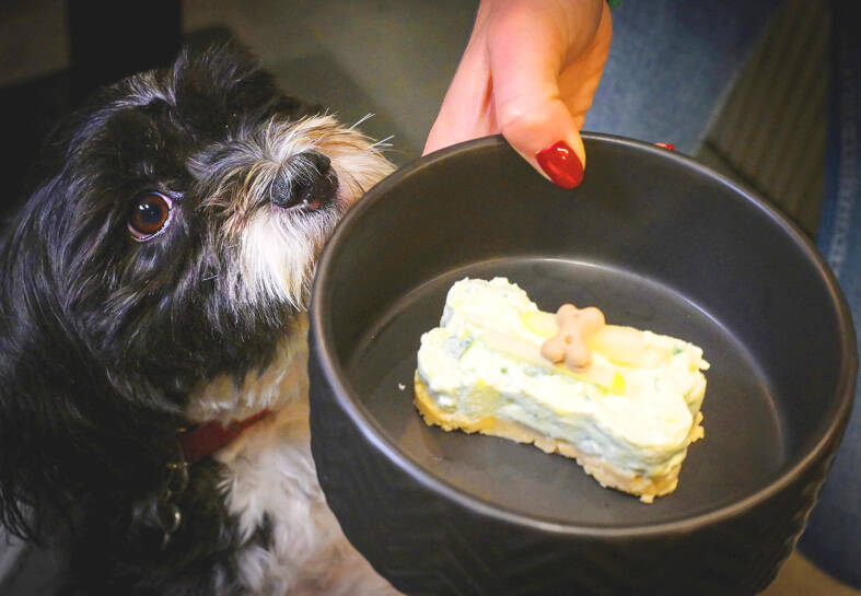 Meals to woof down at Italy’s first dog restaurant - Taipei Times