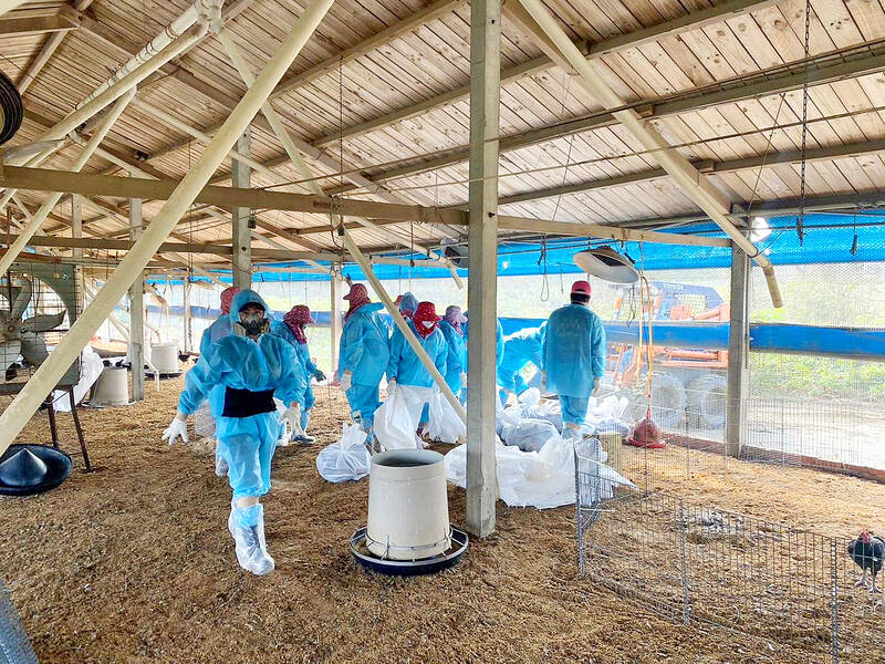 Influenza detected - Taipei Times