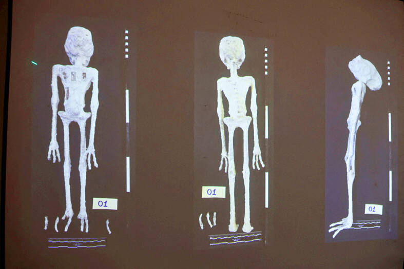 Doll-like figures in Peru not aliens: forensic experts - Taipei Times