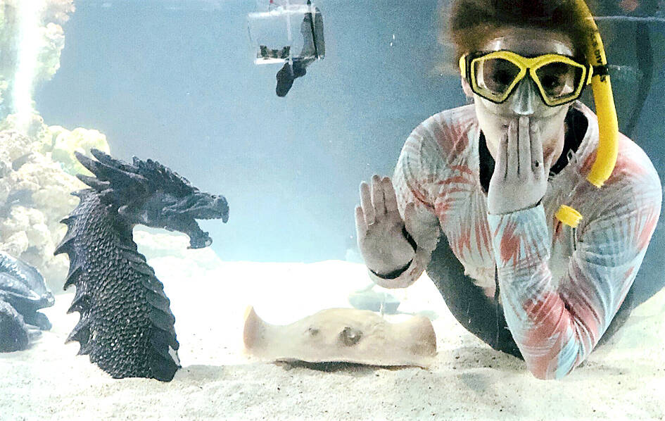 ‘Virgin’ stingray expecting offspring - Taipei Times