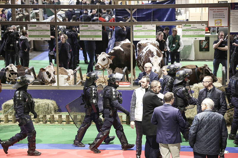 Cattle call - Taipei Times