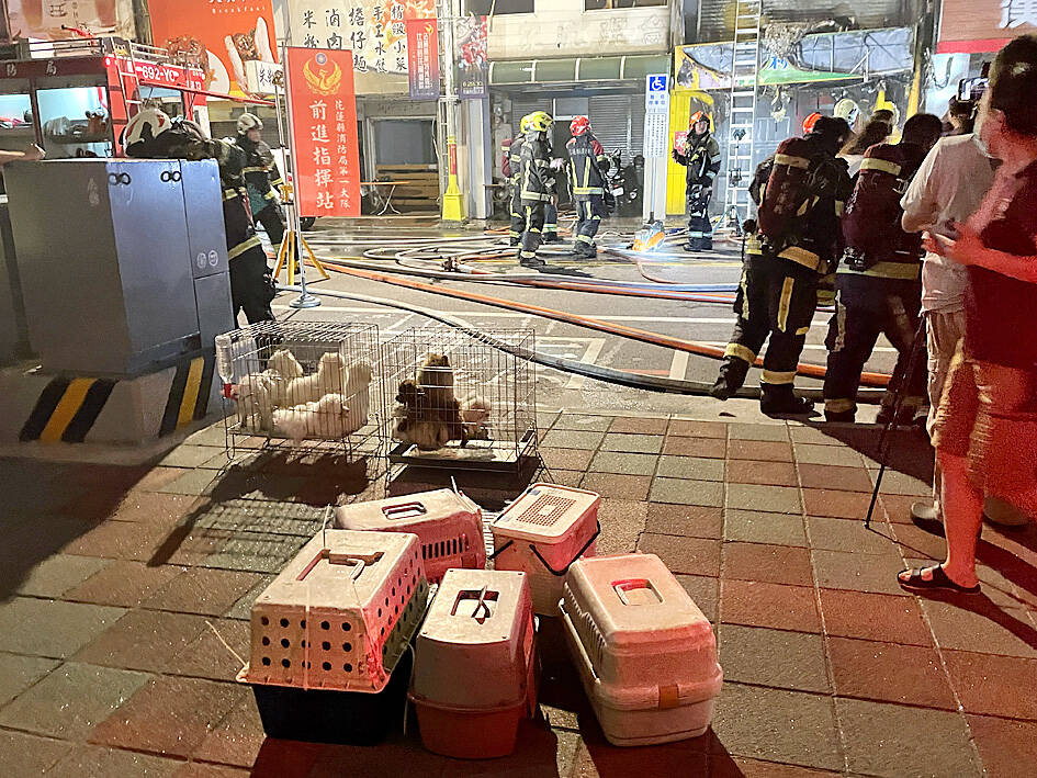 One dog killed in pet shop fire - Taipei Times